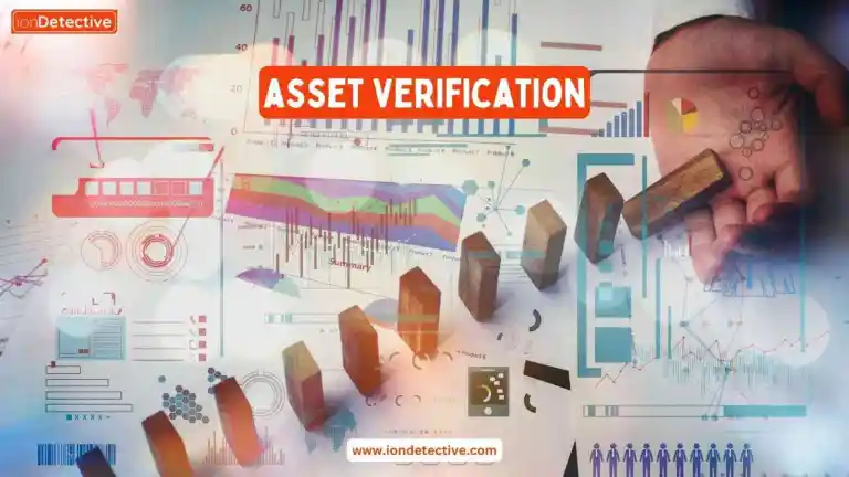 Asset Verification in Delhi - Ion Detective